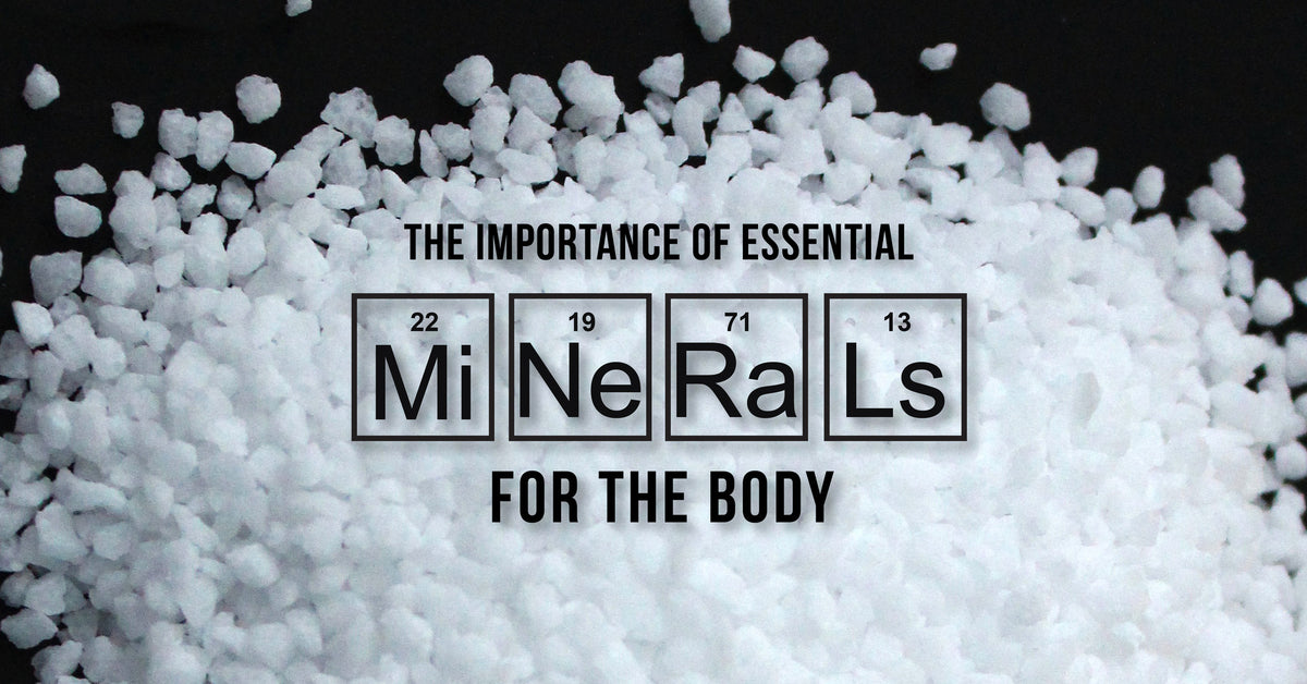 The Importance of Essential Minerals For the Body – Wise Ape