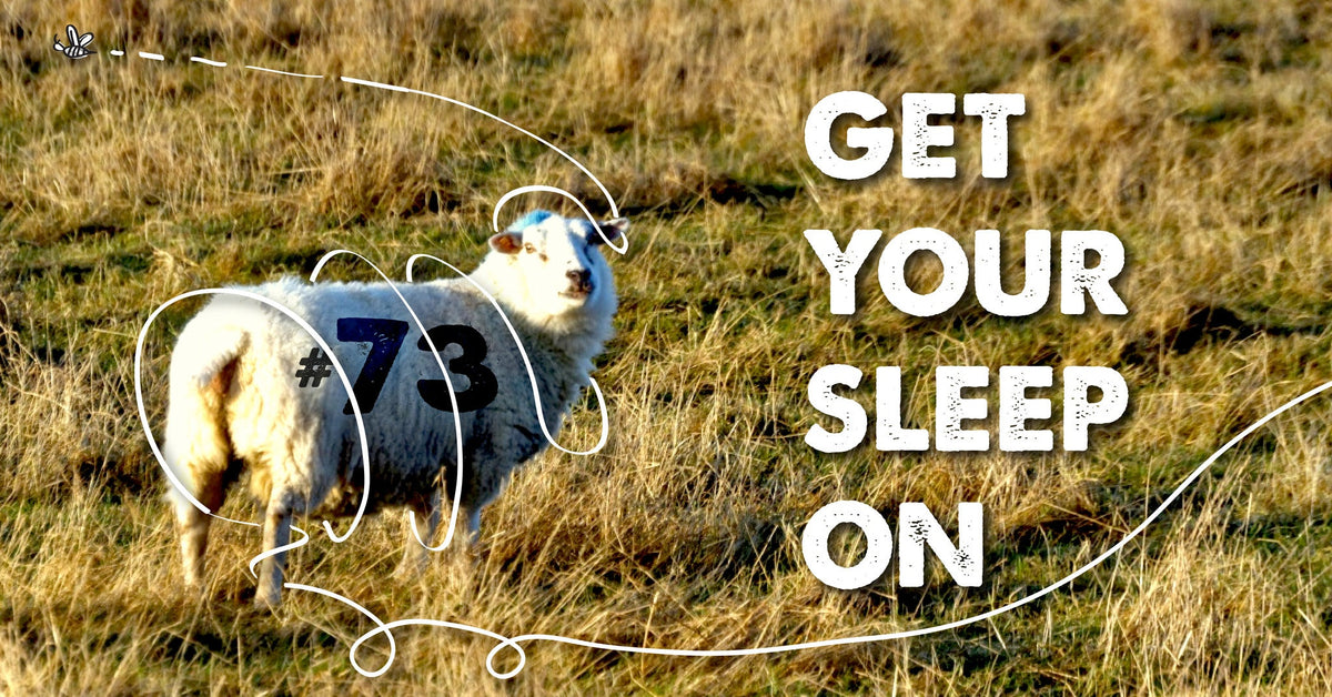 Get Your Sleep On: Better Sleep for A Better You – Wise Ape