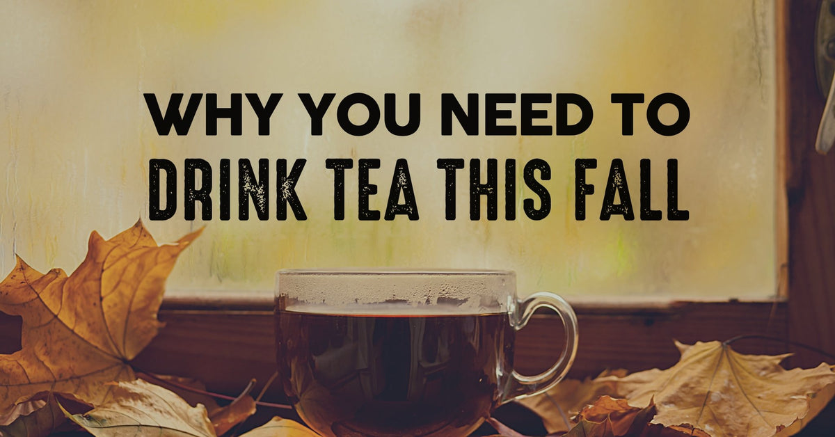5 Reasons Why You Need to Drink Tea This Fall – Wise Ape