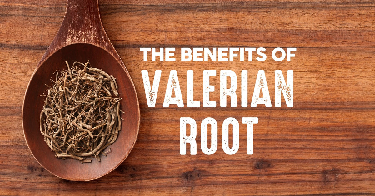 The Benefits of Valerian Root – Wise Ape