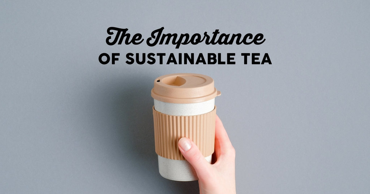The Importance of Sustainable Tea – Wise Ape